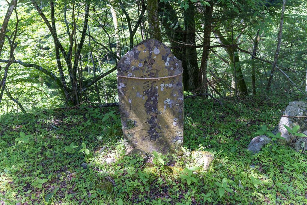 大洞の水場-番外編 | 東京近郊の野鳥撮影日記