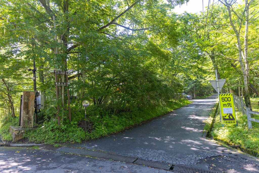 大洞の水場-番外編 | 東京近郊の野鳥撮影日記