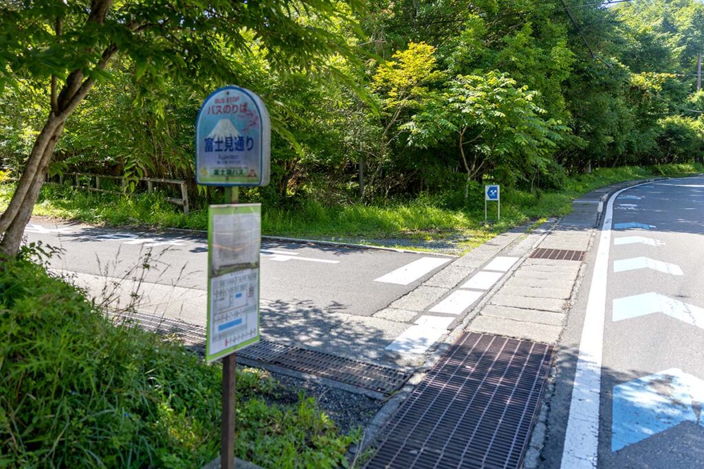 大洞の水場-番外編 | 東京近郊の野鳥撮影日記